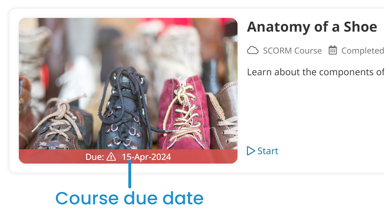 Learner Interface: Course Details, Course Information